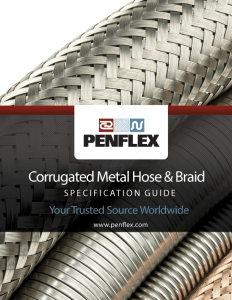 Penflex - SAP project of Business one upgraded suscessful